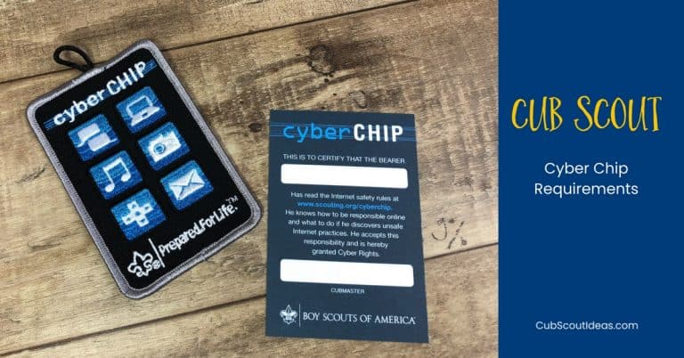 Cub Scout Cyber Chip Award