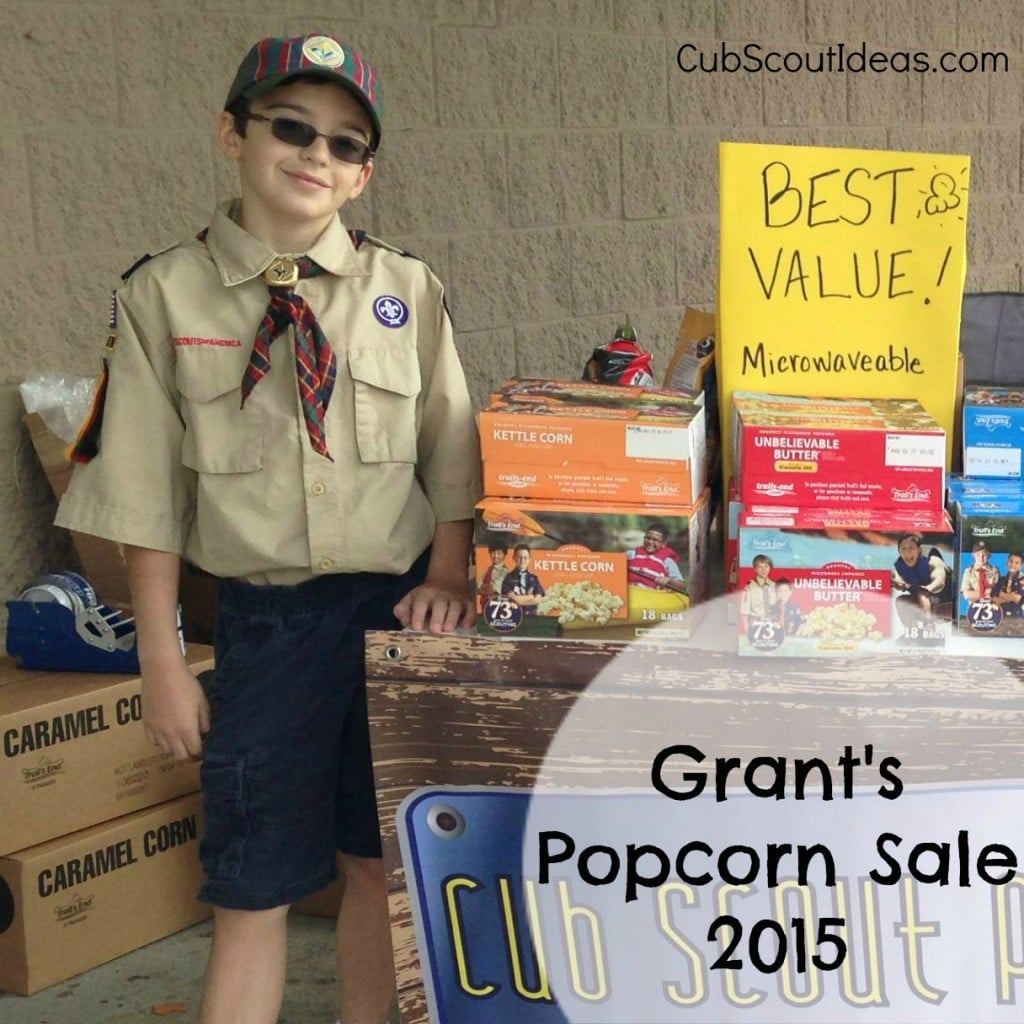 How to Get Your Cub Scout Handbooks Online ~ Cub Scout Ideas