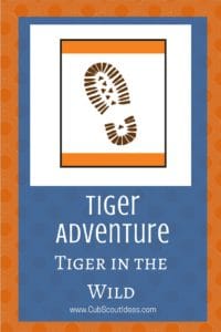 Cub Scout Tiger Rank Requirements » Cub Scout Ideas