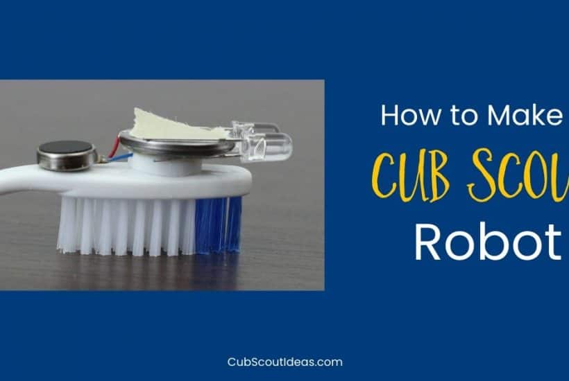 Blog ~ Cub Scout Ideas