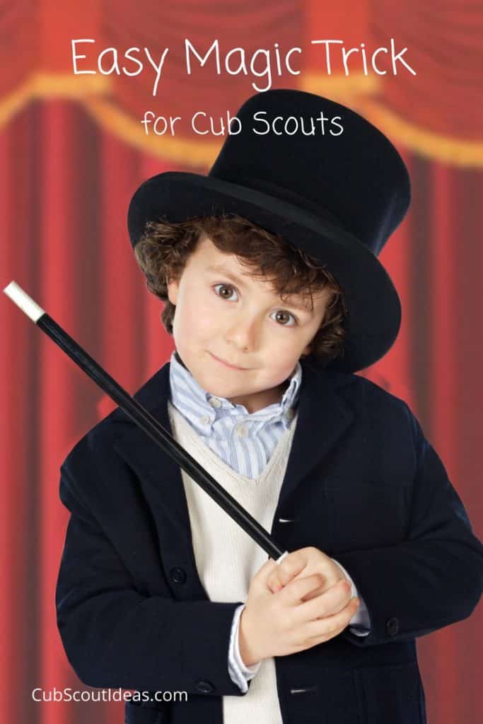 The Top 10 Most Popular Gift Picks for Cub Scouts ~ Cub Scout Ideas