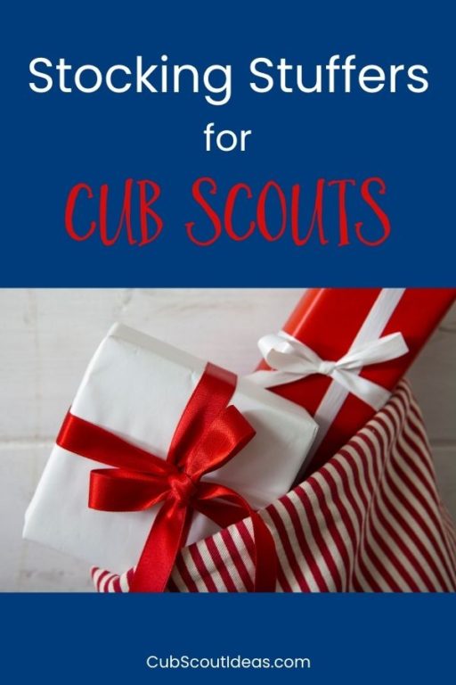 15 of the Most Awesome Cub Scout Leader Gifts ~ Cub Scout Ideas