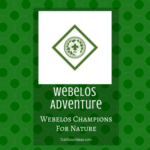 Cub Scout Webelos Adventures & Requirements » Cub Scout Ideas