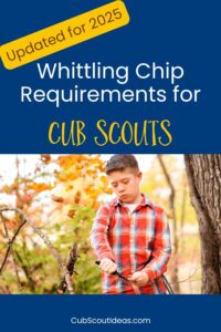 Cub Scout Ideas ~ Tips for Cub Scout Leaders & Parents