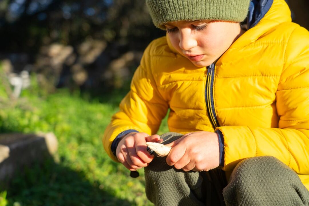 Updated Whittling Chip Requirements » Cub Scout Ideas